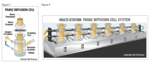 Development And Validation Of In Vitro Release Testing For Semisolid ...