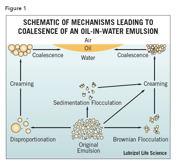 Emulsion Stability And Testing | Agno Pharmaceuticals