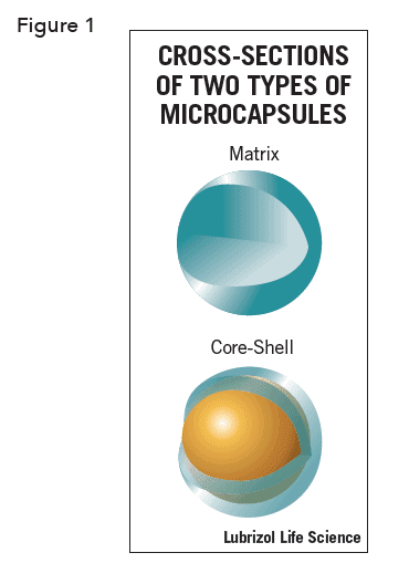 Encapsulation Methods And Properties Of Capsules | Agno Pharmaceuticals