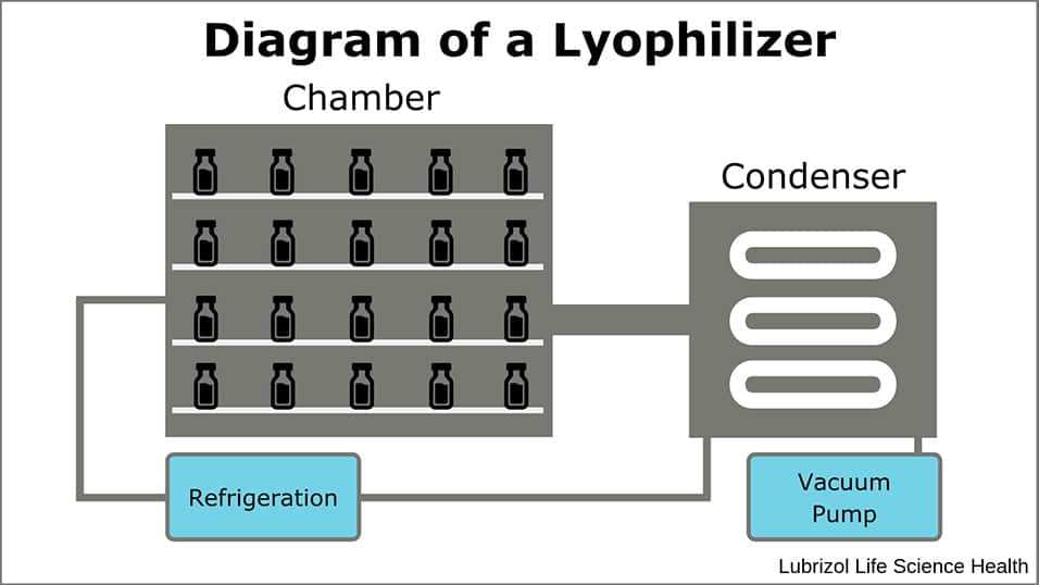 Lyophilization Of Pharmaceuticals: An Overview | Agno Pharmaceuticals