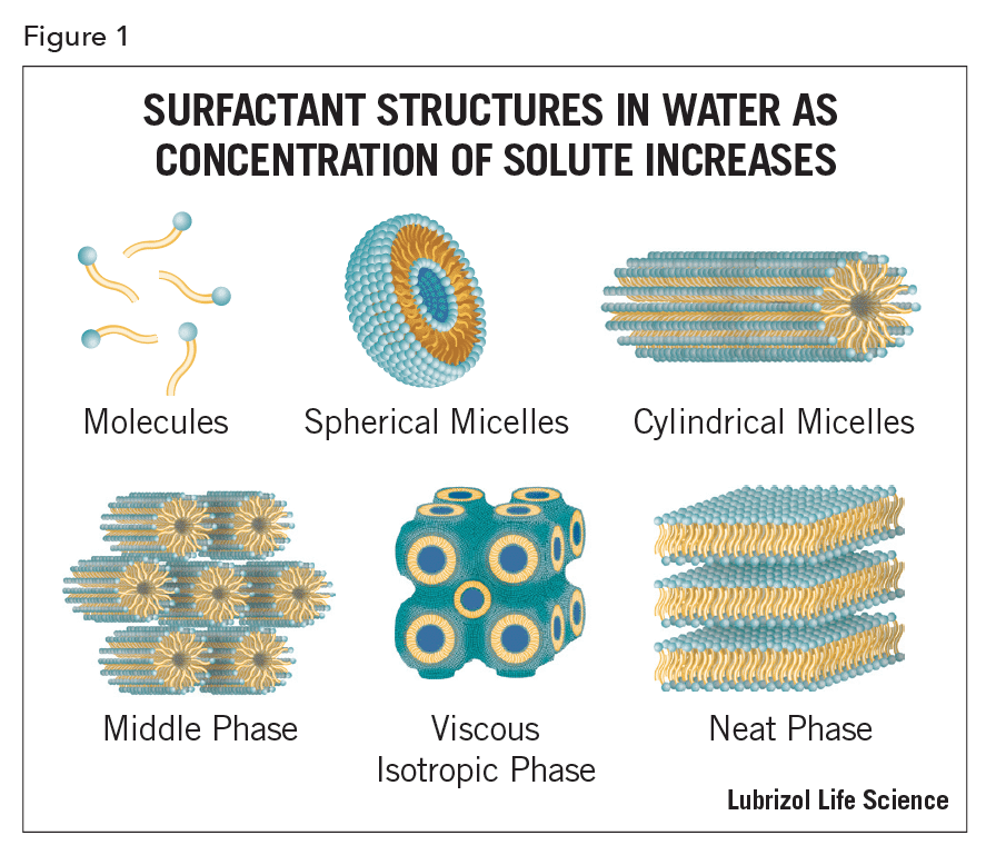 Phase Behavior Of Surface-Active Solutes | Agno Pharmaceuticals