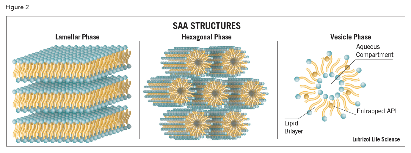 Surfactants: Micellization, Liquid Crystal Structures | Agno ...
