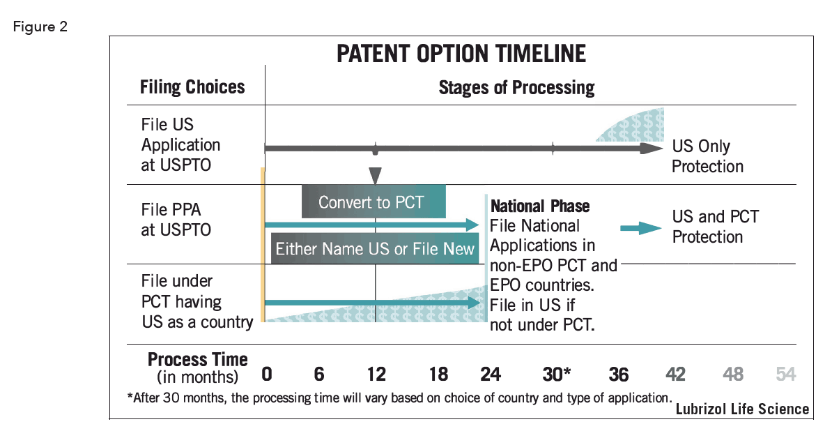 The Patent Process: Criteria, Timeline | Agno Pharmaceuticals